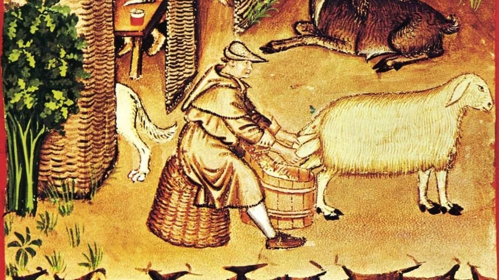 La sociedad feudal