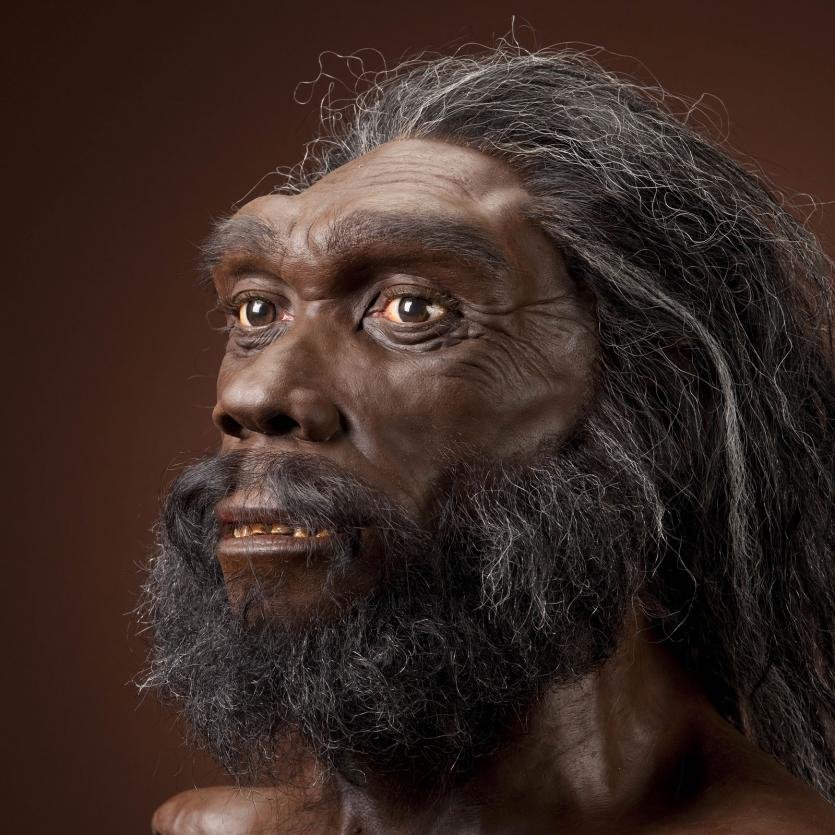 Los yacimientos de la sierra de Atapuerca