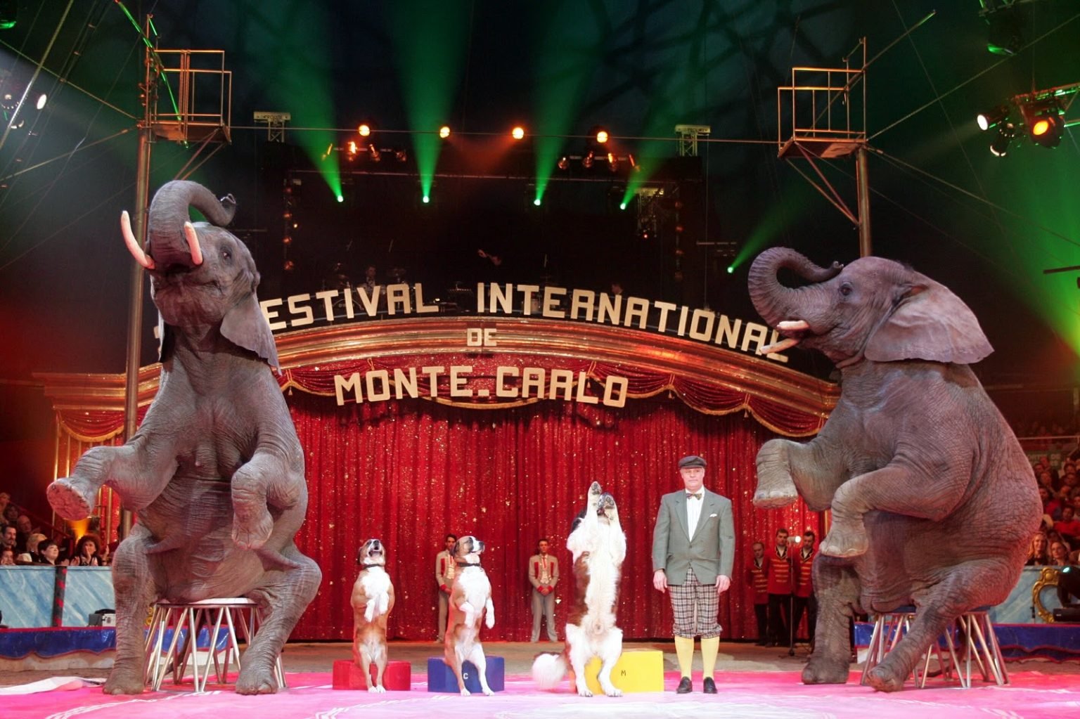 El origen del circo